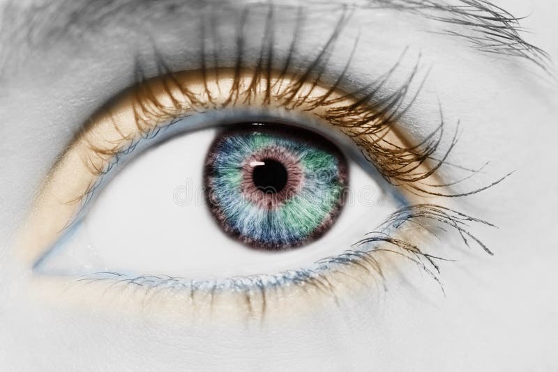 A Beautiful Insightful Look Eye. Close Up Shot Stock Photo - Image of ...