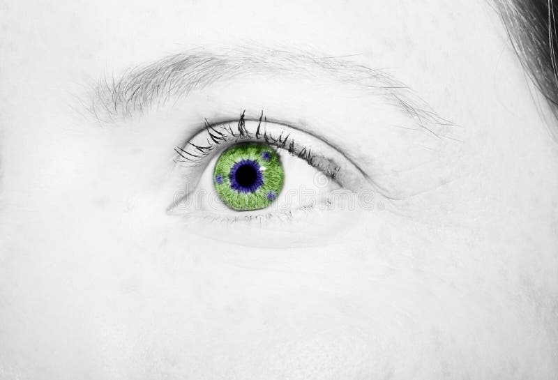 A Beautiful Insightful Look Eye. Close Up Shot Stock Image - Image of ...