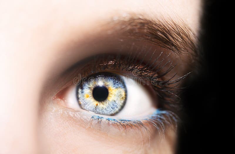 A Beautiful Insightful Look Eye. Close Up Shot Stock Photo - Image of ...
