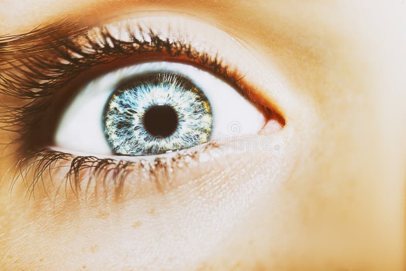 A Beautiful Insightful Look Eye. Close Up Shot Stock Photo - Image of ...