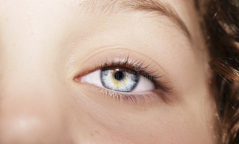 A Beautiful Insightful Look Eye. Close Up Shot Stock Photo - Image of ...