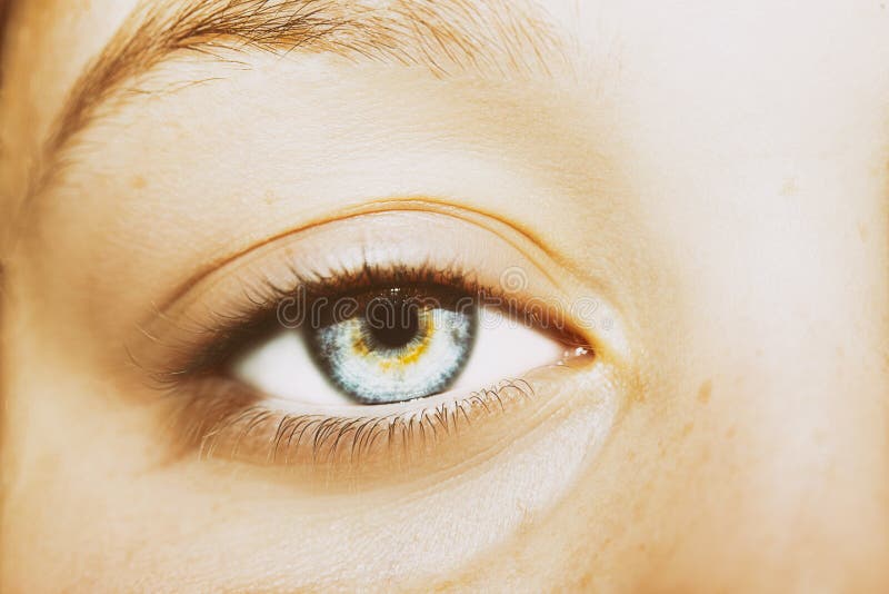 A Beautiful Insightful Look Eye. Close Up Shot Stock Image - Image of ...