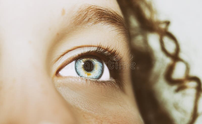 A Beautiful Insightful Look Eye. Close Up Shot Stock Image - Image of ...