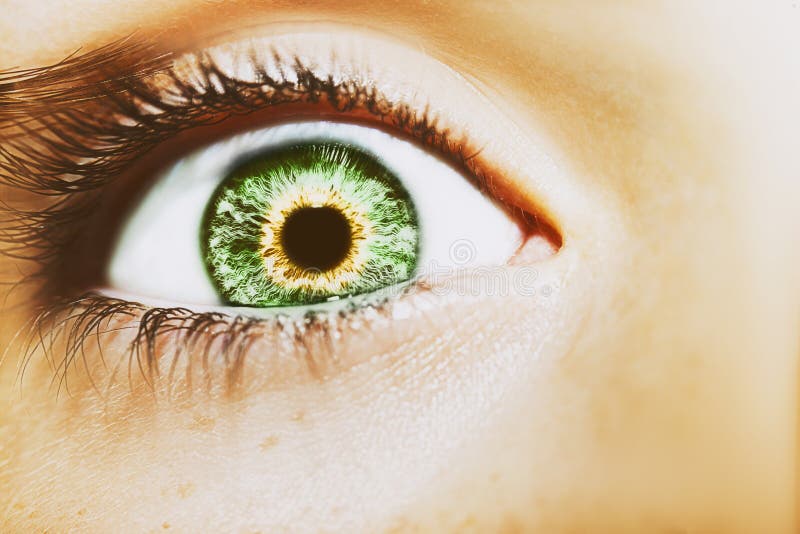 A Beautiful Insightful Look Eye. Close Up Shot Stock Photo - Image of ...