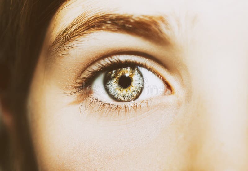 A Beautiful Insightful Look Eye. Close Up Shot Stock Image - Image of ...