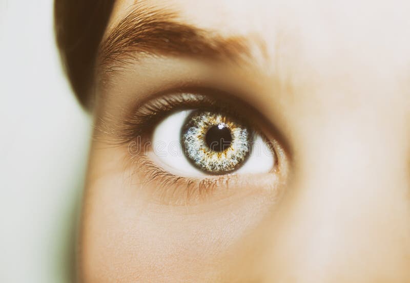 A Beautiful Insightful Look Eye. Close Up Shot Stock Photo - Image of ...
