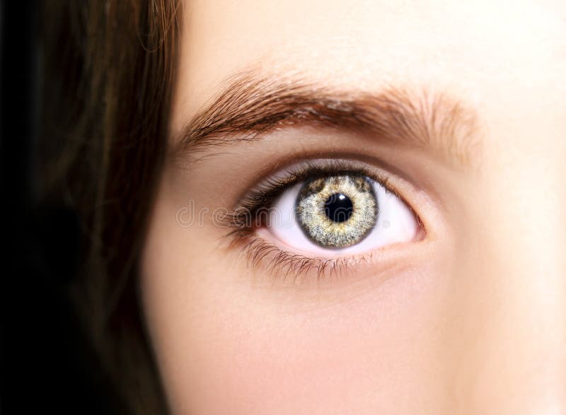 A Beautiful Insightful Look Eye. Close Up Shot Stock Image - Image of ...