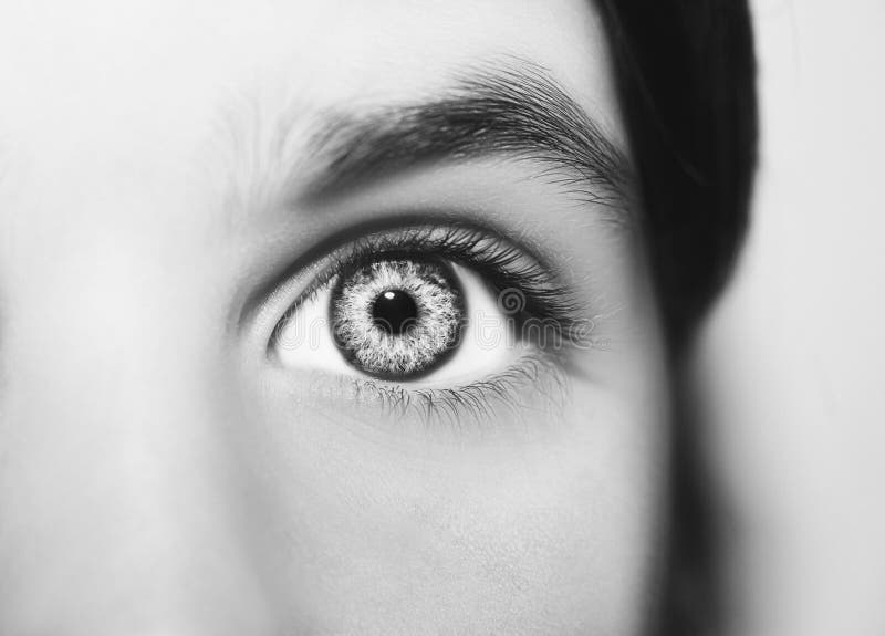 A Beautiful Insightful Look Eye. Close Up Shot Stock Image - Image of ...