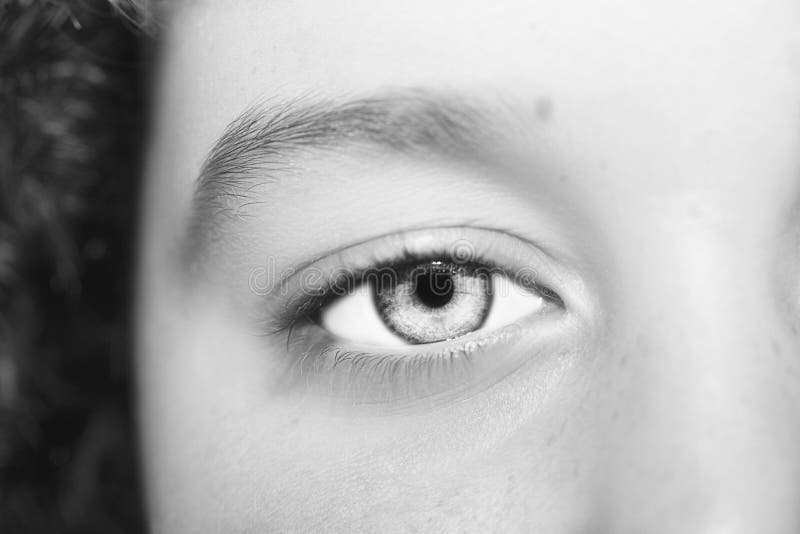 A Beautiful Insightful Look Eye. Close Up Shot Stock Photo - Image of ...