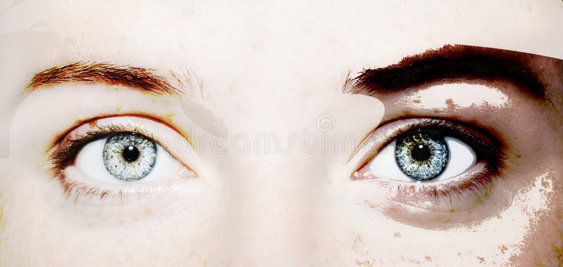 A Beautiful Insightful Look Eye. Close Up Shot Stock Image - Image of ...