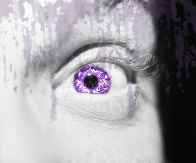 A Beautiful Insightful Look Eye. Close Up Shot Stock Photo - Image of ...