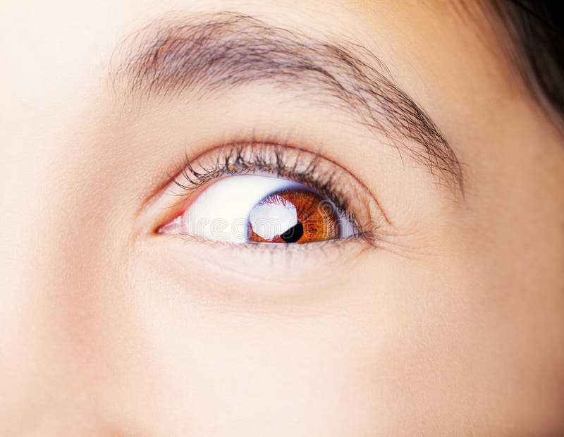 A Beautiful Insightful Look Eye. Stock Photo - Image of eyebrow ...