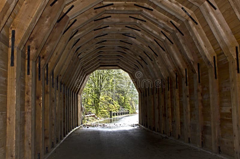 Beautiful Interior of Wooden Tunnel Stock Photo - Image of outdoors ...