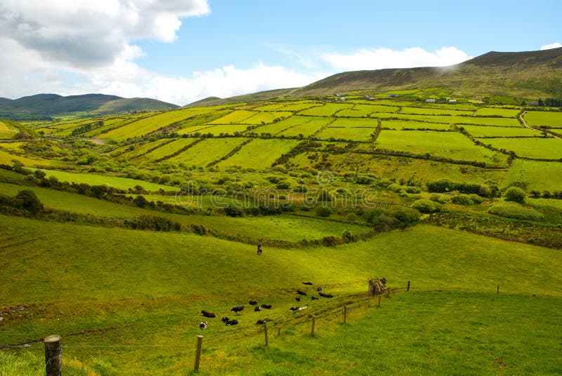 23,386 Irish Countryside Stock Photos - Free & Royalty-Free Stock ...