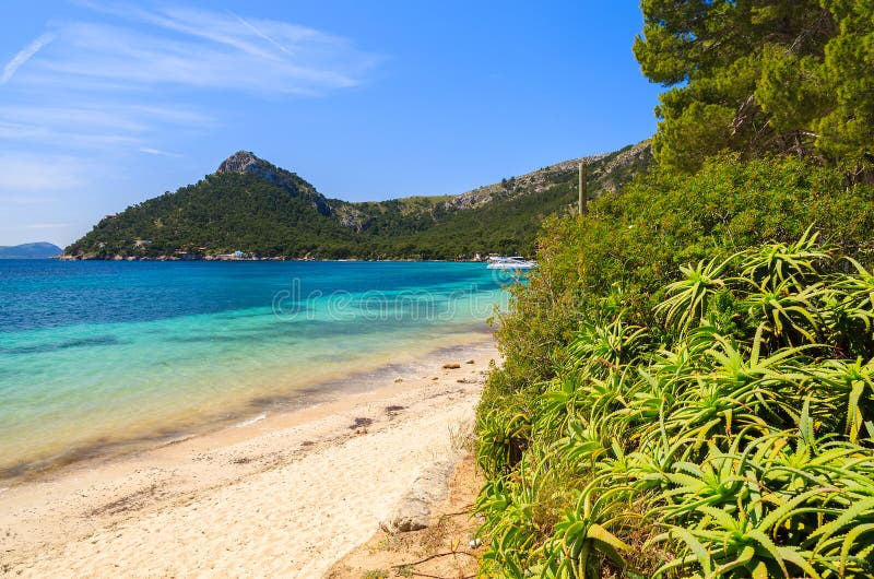 Beautiful Island of Majorca, Spain Stock Image - Image of formentor ...
