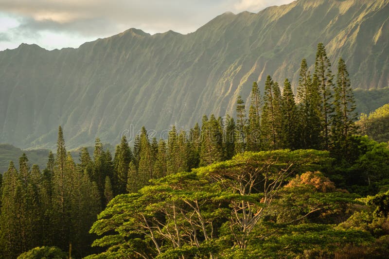 Beautiful Island of Oahu Hawaii Nature Scenes Stock Photo - Image of ...