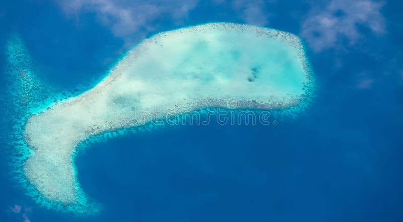 Beautiful Island Shape, Bird S Eye View Stock Photo - Image of summer ...