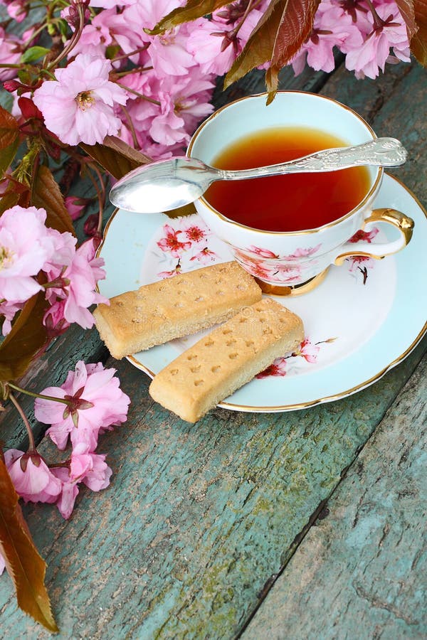 Beautiful Japanese Cherry Tree and a Cup of Tea Stock Image - Image of ...