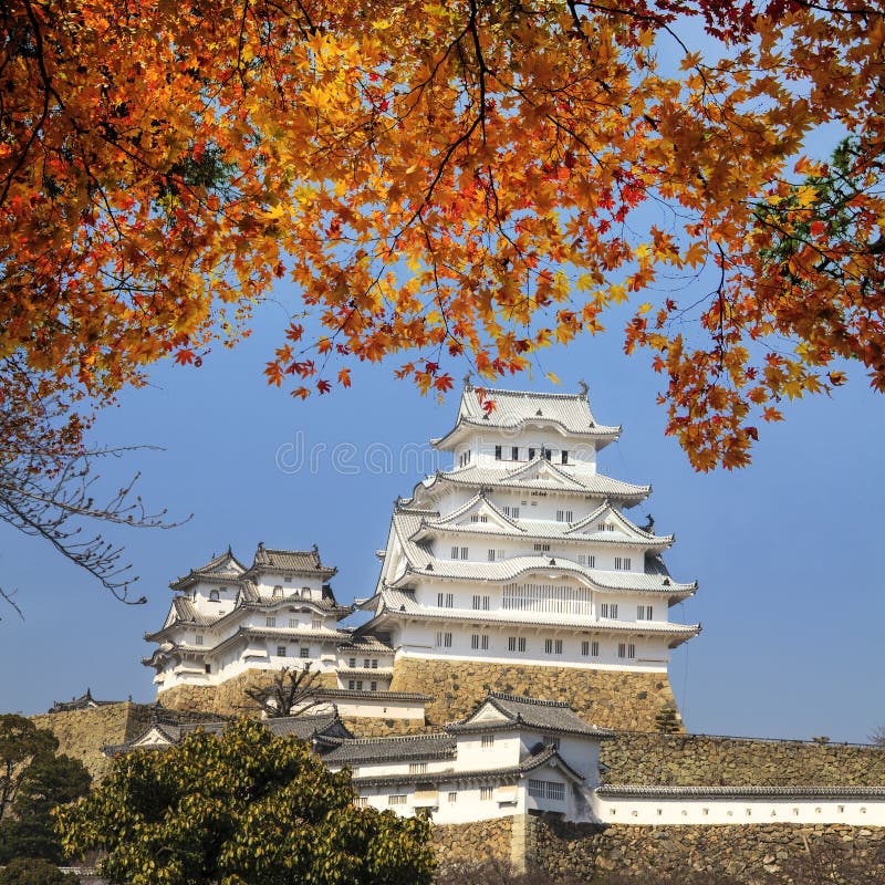 Beautiful Japanese Himeji Castle and Maple Tree Stock Photo - Image of ...