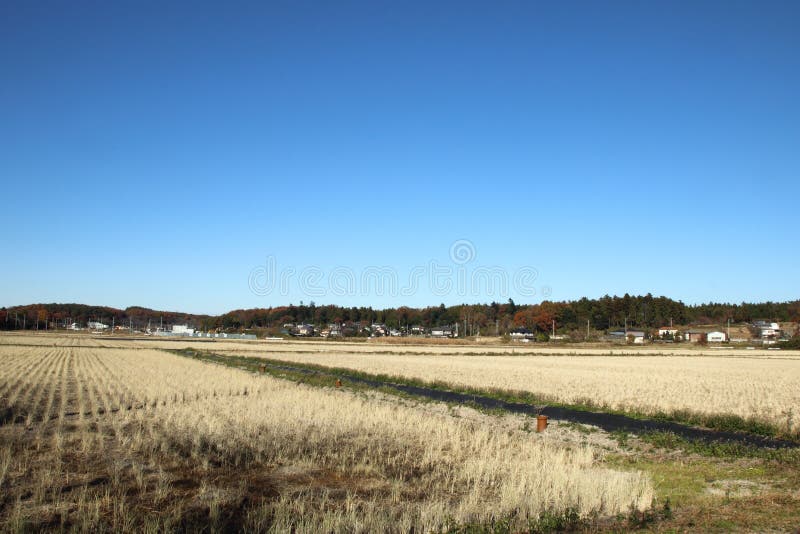 Beautiful Japanese view stock photo. Image of crosswalk - 41353754