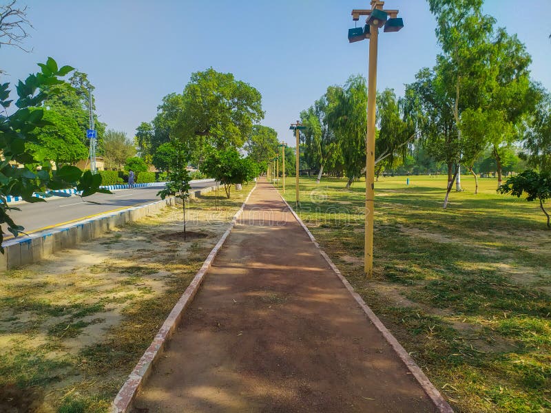 Beautiful Jogging Track in the Park Stock Photo - Image of lights ...