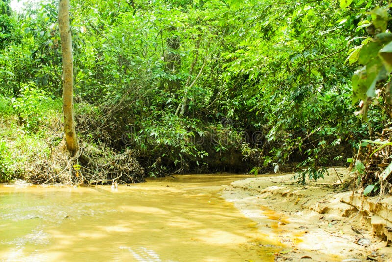 Beautiful Jungle Waterfall Water and Sunlight. Stock Image - Image of ...