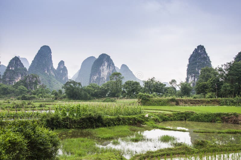 Beautiful Karst Rural Scenery in Guilin, China Stock Photo - Image of ...