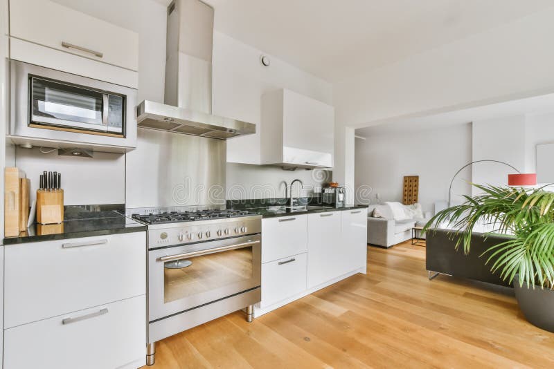 Beautiful kitchen design stock photo. Image of modern - 233256768