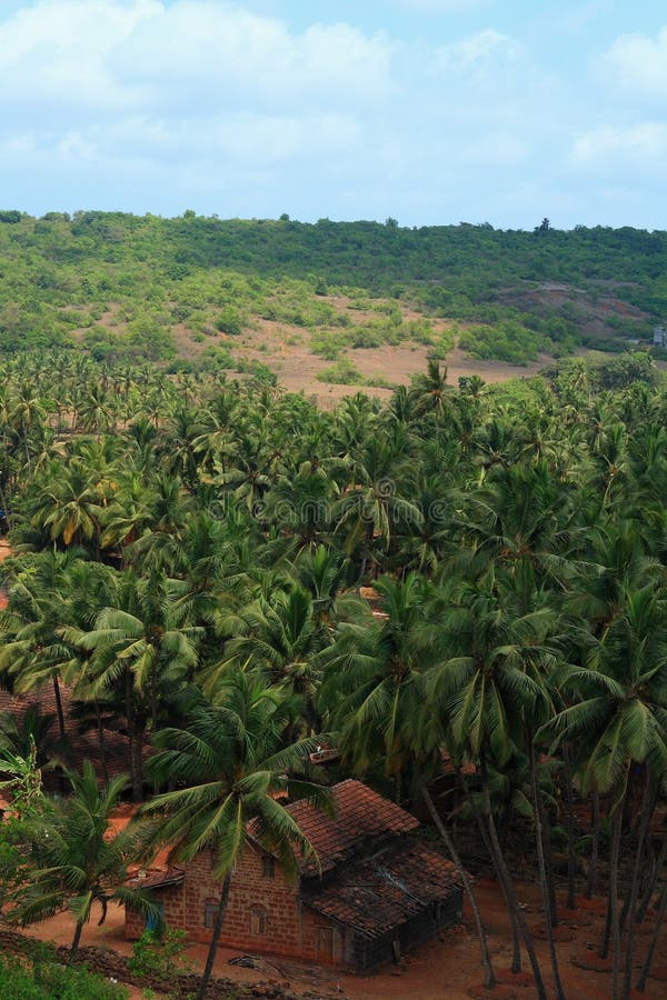 Beautiful Konkan Landscape stock image. Image of asian - 21117775