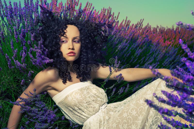 Beautiful lady in lavender stock photo. Image of alpes - 26044616