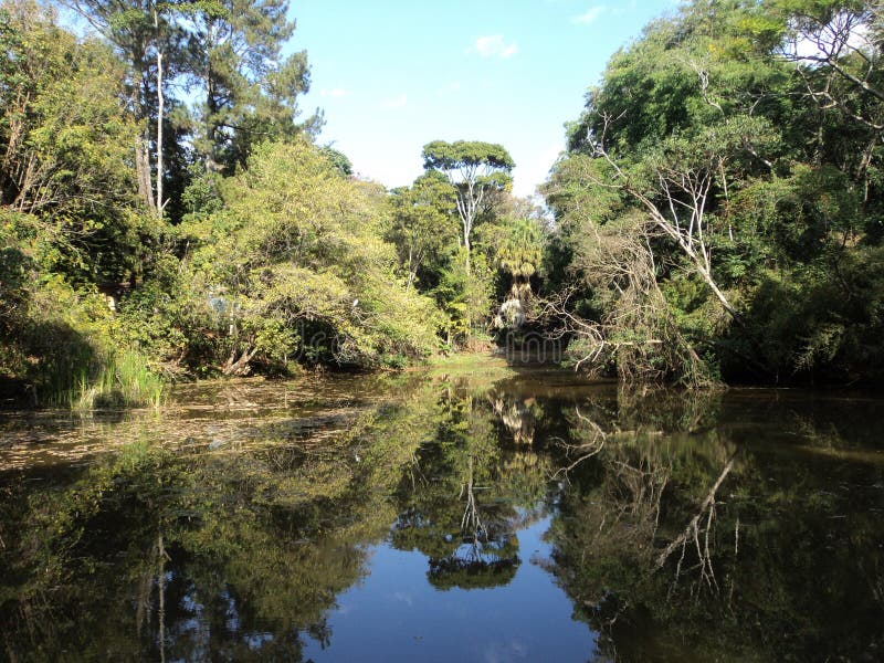 A Beautiful Lagoon in the Middle Stock Image - Image of lenaasect ...