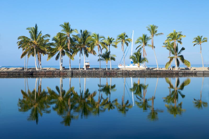 Beautiful Laguna with Palm Trees, Blue Sky Stock Image - Image of ...