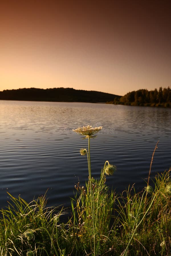Arrow Island on Mississippi Stock Image - Image of travel, bridge: 26919503