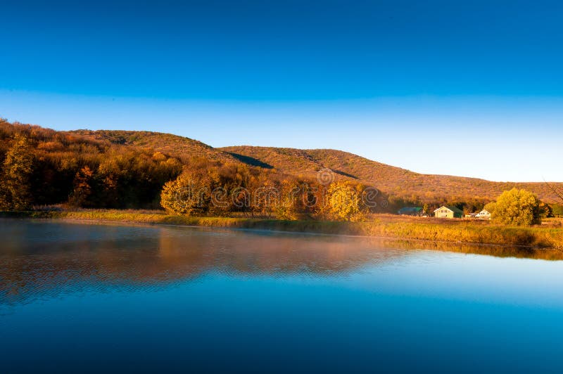 Beautiful Lake and Amazing Forest Stock Photo - Image of foliage ...