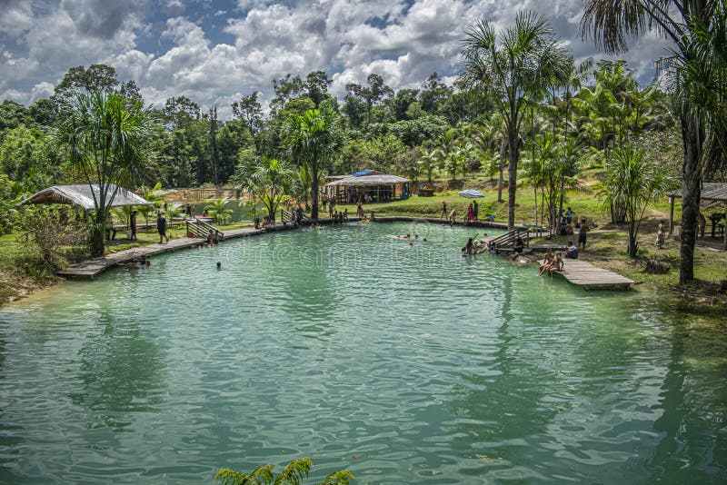 Beautiful Lake in the Amazon Stock Image - Image of park, lake: 259689749