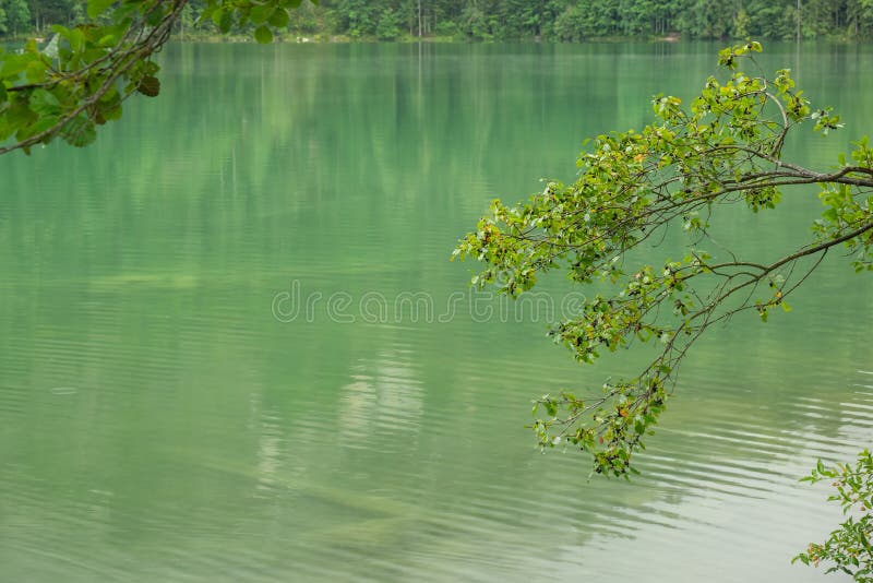 Beautiful Lake in Austria, Gleinkersee in Austria Stock Photo - Image ...
