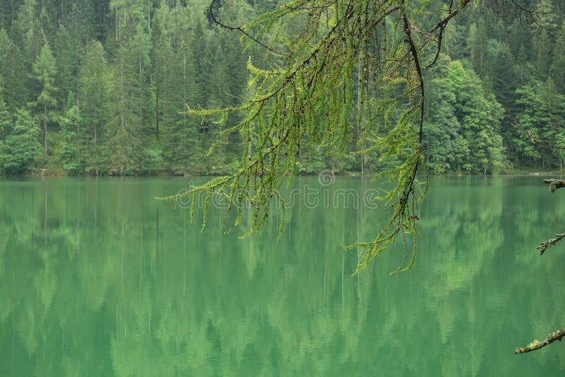 Beautiful Lake in Austria, Gleinkersee in Austria Stock Image - Image ...