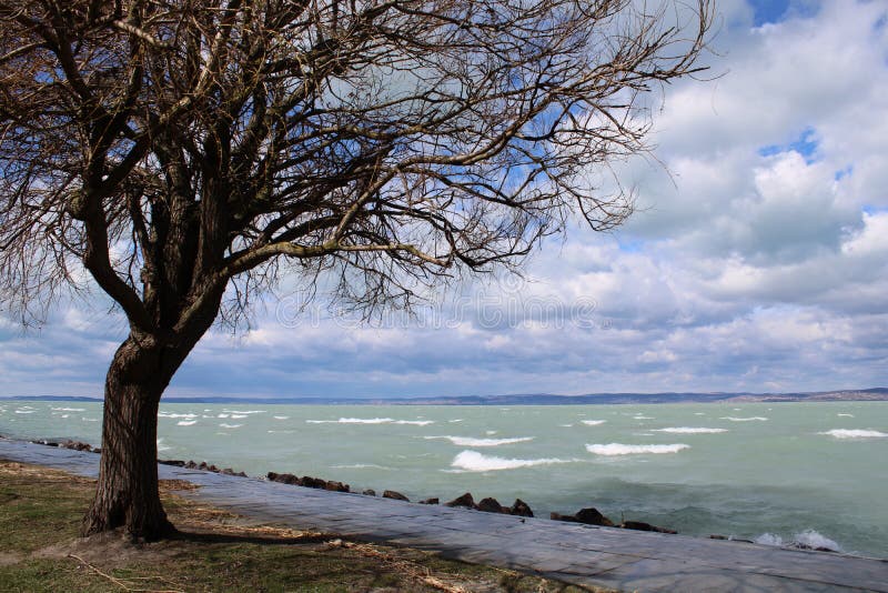 Beautiful Lake Balaton with Waves Stock Photo - Image of europe ...