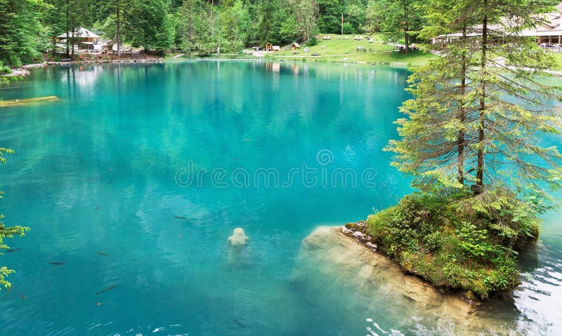 Lake Blausee in Switzerland Stock Photo - Image of nature, light: 185651826