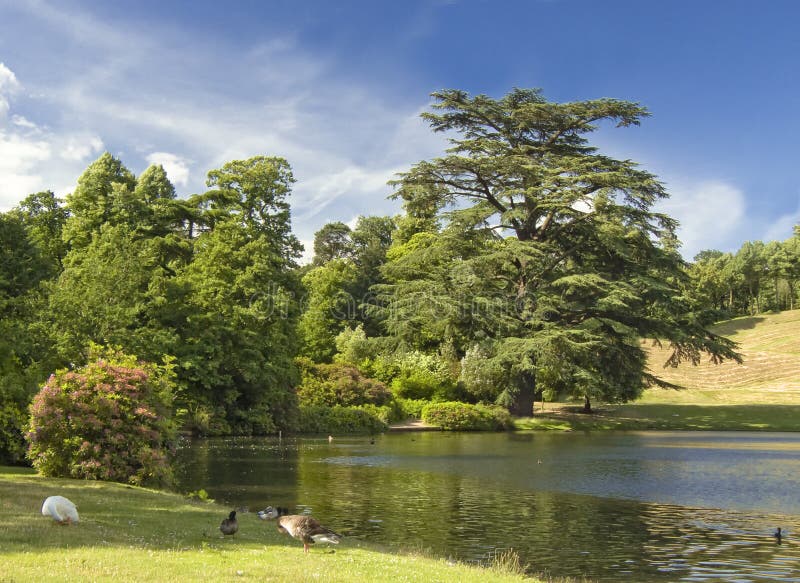 Beautiful Lake in English Countryside Stock Photo - Image of hillside ...