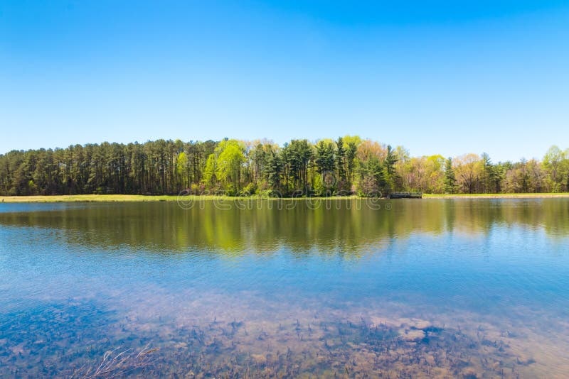 Forest reflection stock photo. Image of lake, cloud, reflection - 13299376