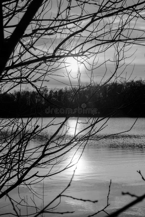 Beautiful Lake and Forest during Sunset in Monochrome Stock Image ...