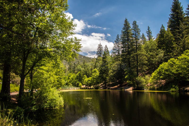 138 Idyllwild Stock Photos - Free & Royalty-Free Stock Photos from ...