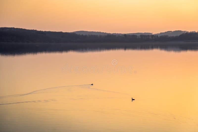 Beautiful lake landscape stock photo. Image of bodensee - 267480426