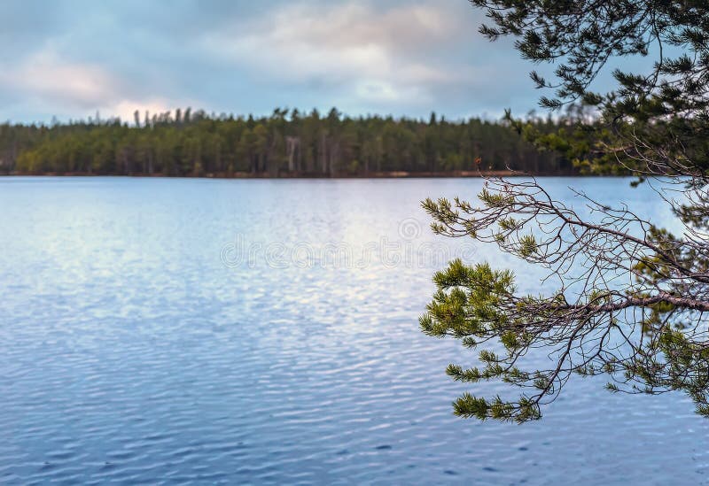 Lake landscape in Finland stock photo. Image of blue - 114836114