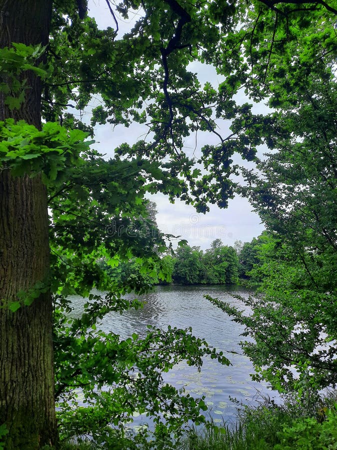 A Beautiful Lake Landscape with Green Trees Stock Photo - Image of ...