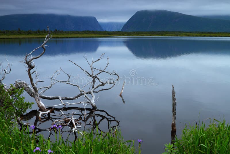 Beautiful lake stock image. Image of dramatic, green - 41664995
