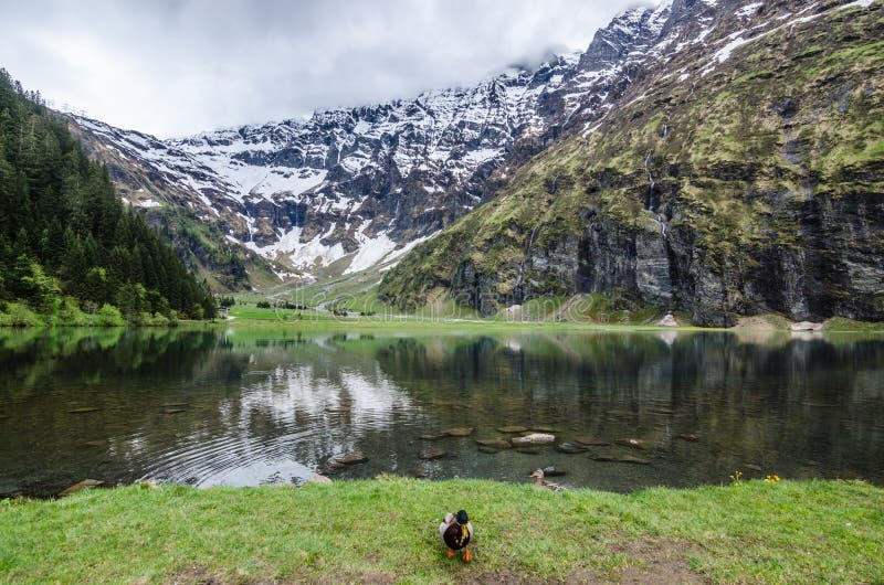 Beautiful Lake in Mountains Stock Image - Image of recreation, outdoor ...