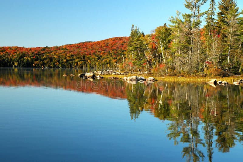 Lake Water Autumn Fall Trees Picture. Image: 101606268