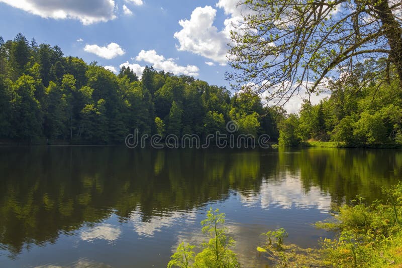 Beautiful lake scene stock image. Image of pine, river - 72665167